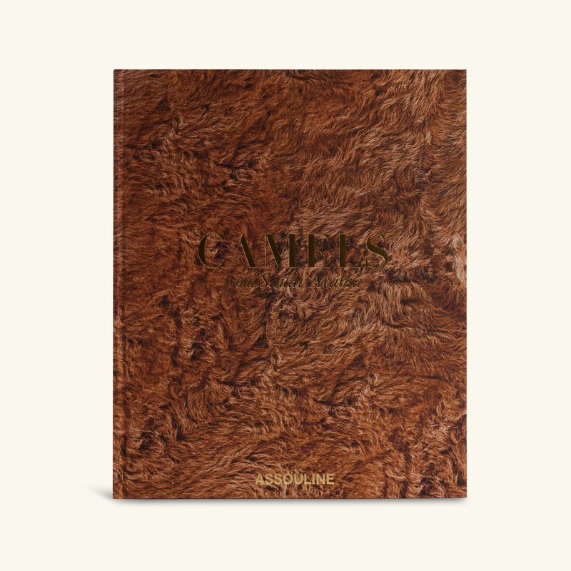 Assouline Camels From Saudi Arabia Book 48x39cm | Tanagra Qatar